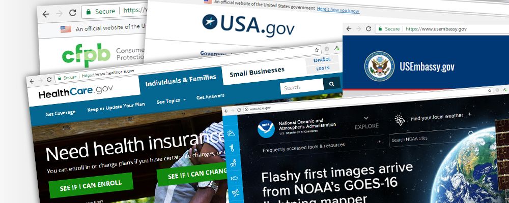Benchmarking U.S. Government Websites | ITIF