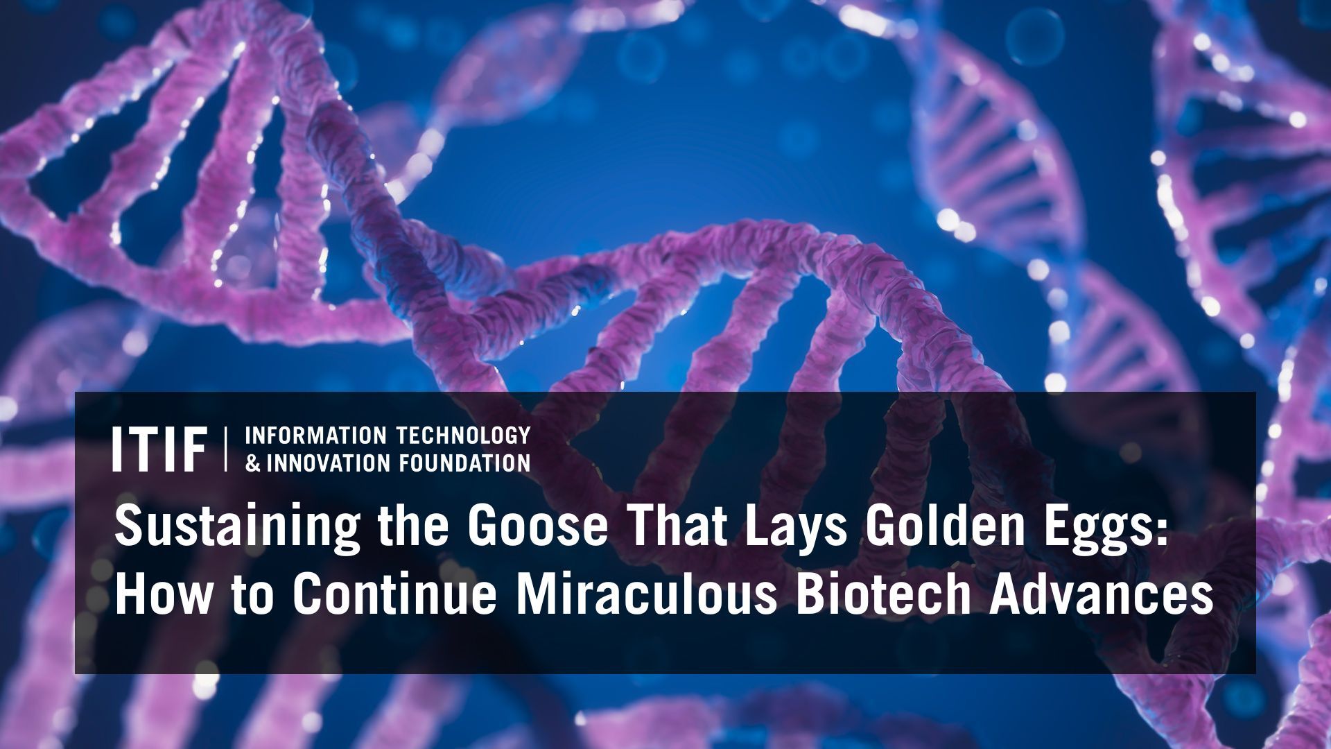 Sustaining the Goose That Lays Golden Eggs: How to Continue Miraculous Biotech Advances | ITIF