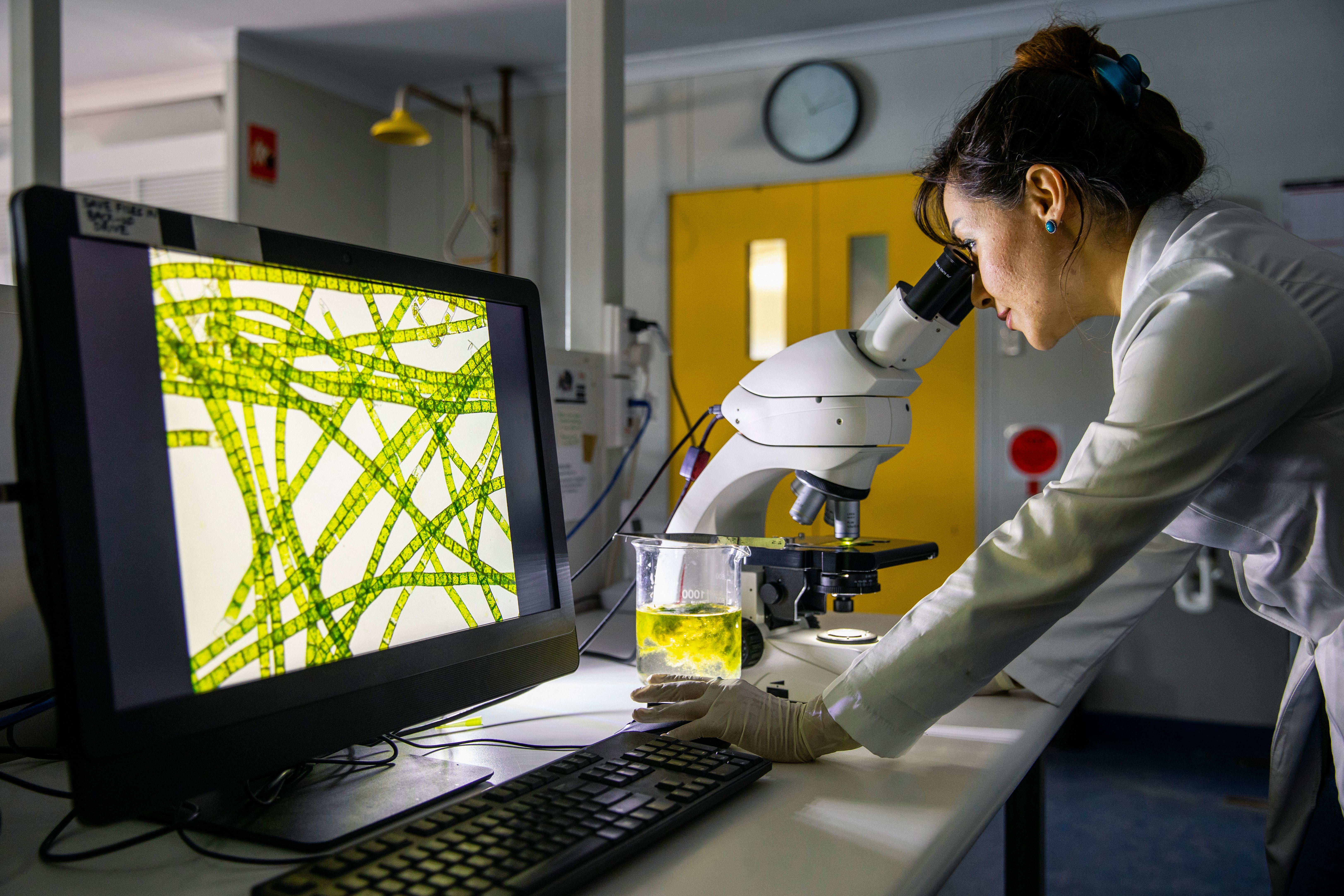 Biological Solutions to Climate Challenges Deserve More Attention | ITIF