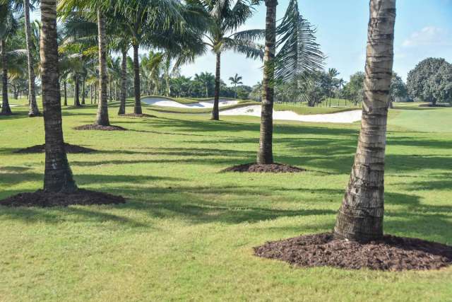 Trump National Doral Golf Club (Blue Monster) Review by Tom Bevington ...