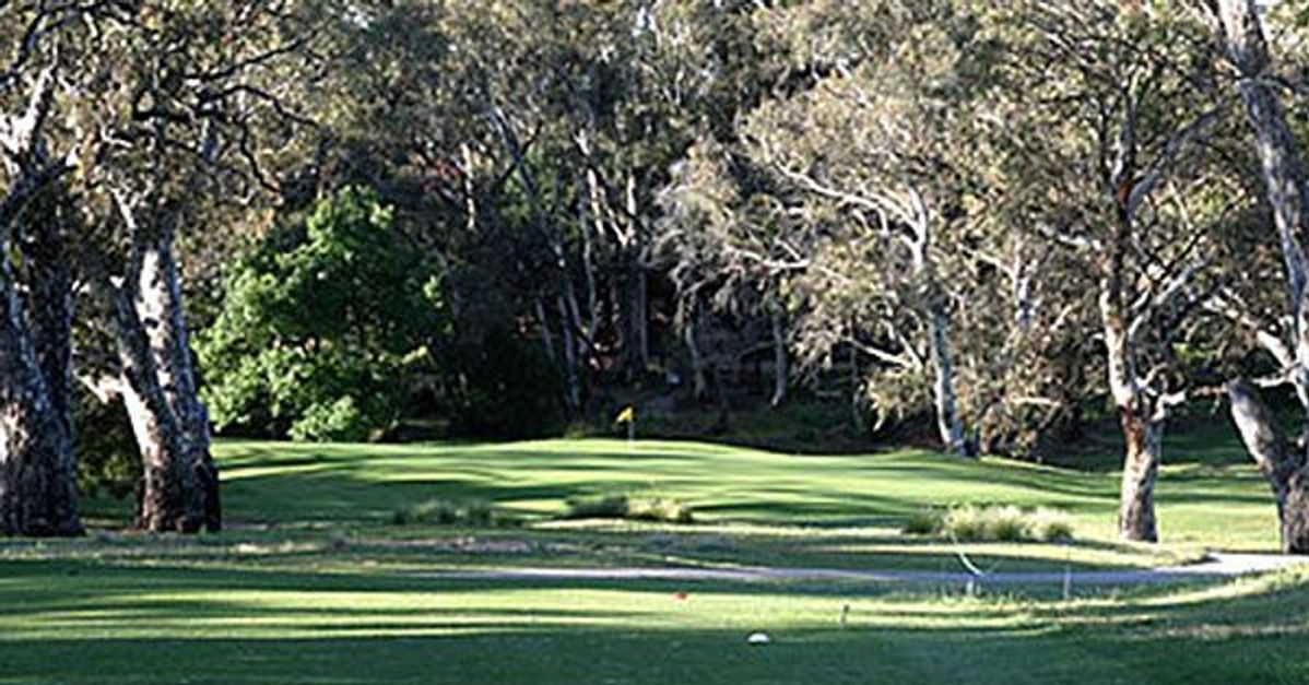 The Vines | Australia | Top 100 Golf Courses