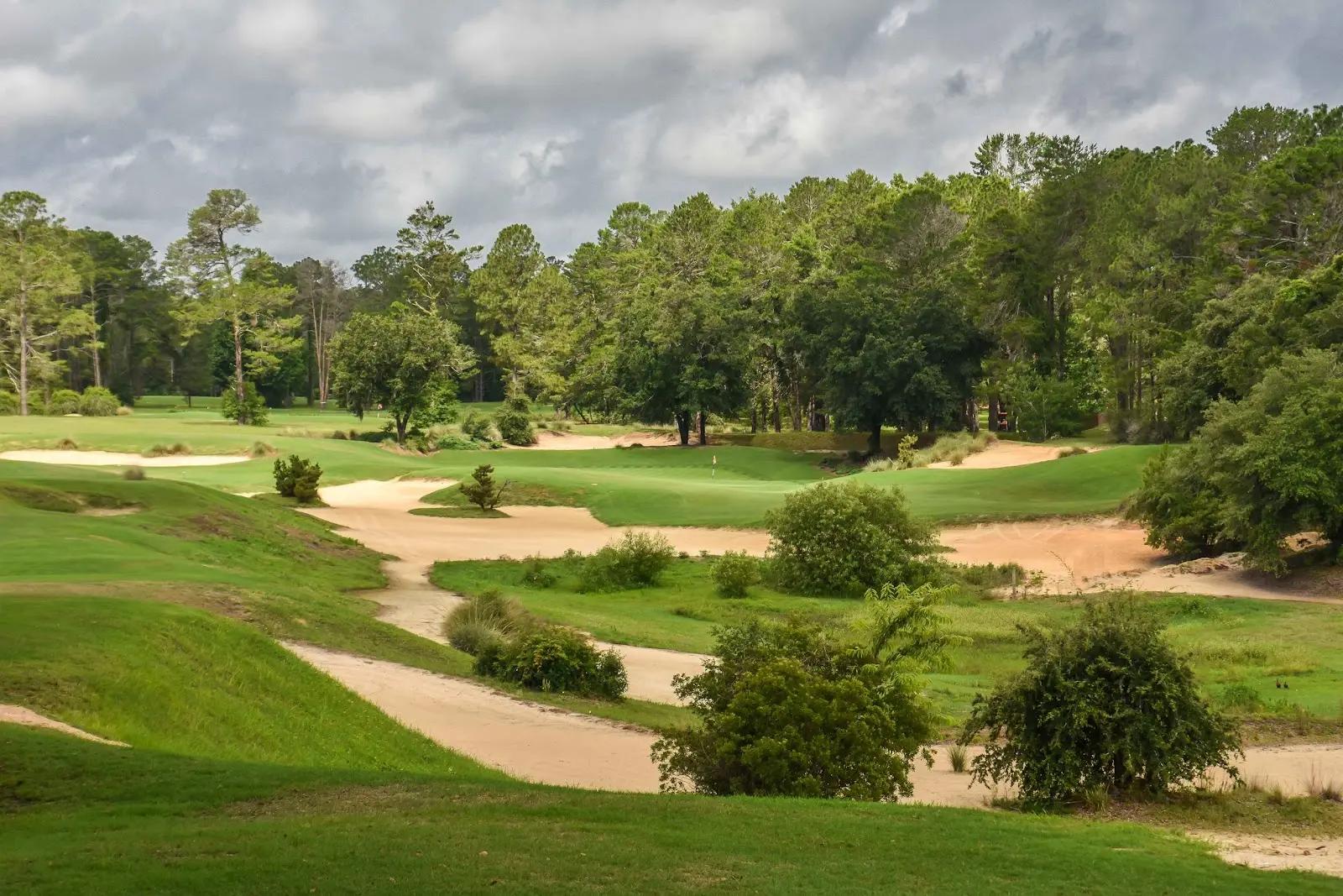Exploring the area around Innisbrook-Copperhead Golf Course reveals a ...