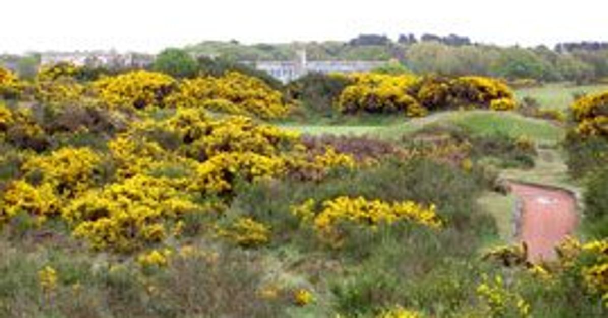 Troon Darley Golf Course | United Kingdom | Top 100 Golf Courses