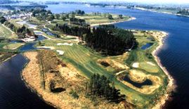 Tulfarris Hotel & Golf Resort Review by Terry O | Top 100 Golf Courses