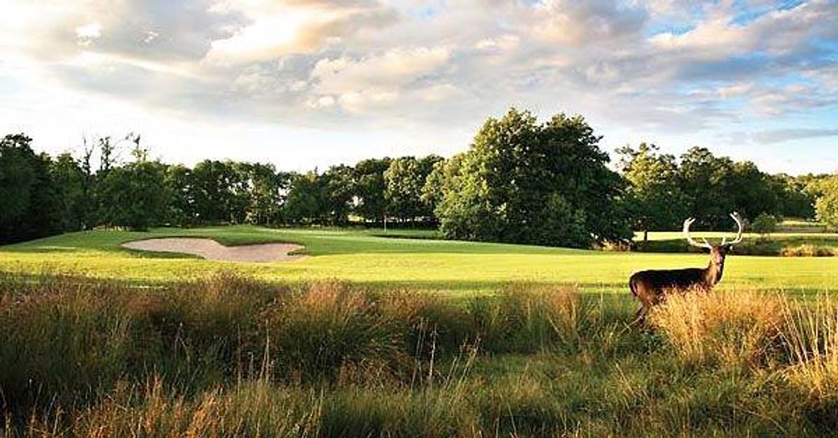 Forest of Arden (Arden) | United Kingdom | Top 100 Golf Courses