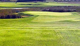 Shepherd's Crook Review by Bryce Weir | Top 100 Golf Courses