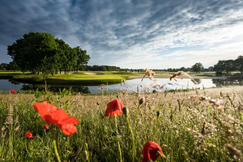 Green Eagle Golf Courses (North) Review by Tom Seeler | Top 100 Golf ...