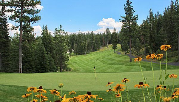 Coyote Moon Review by ABroo11 | Top 100 Golf Courses