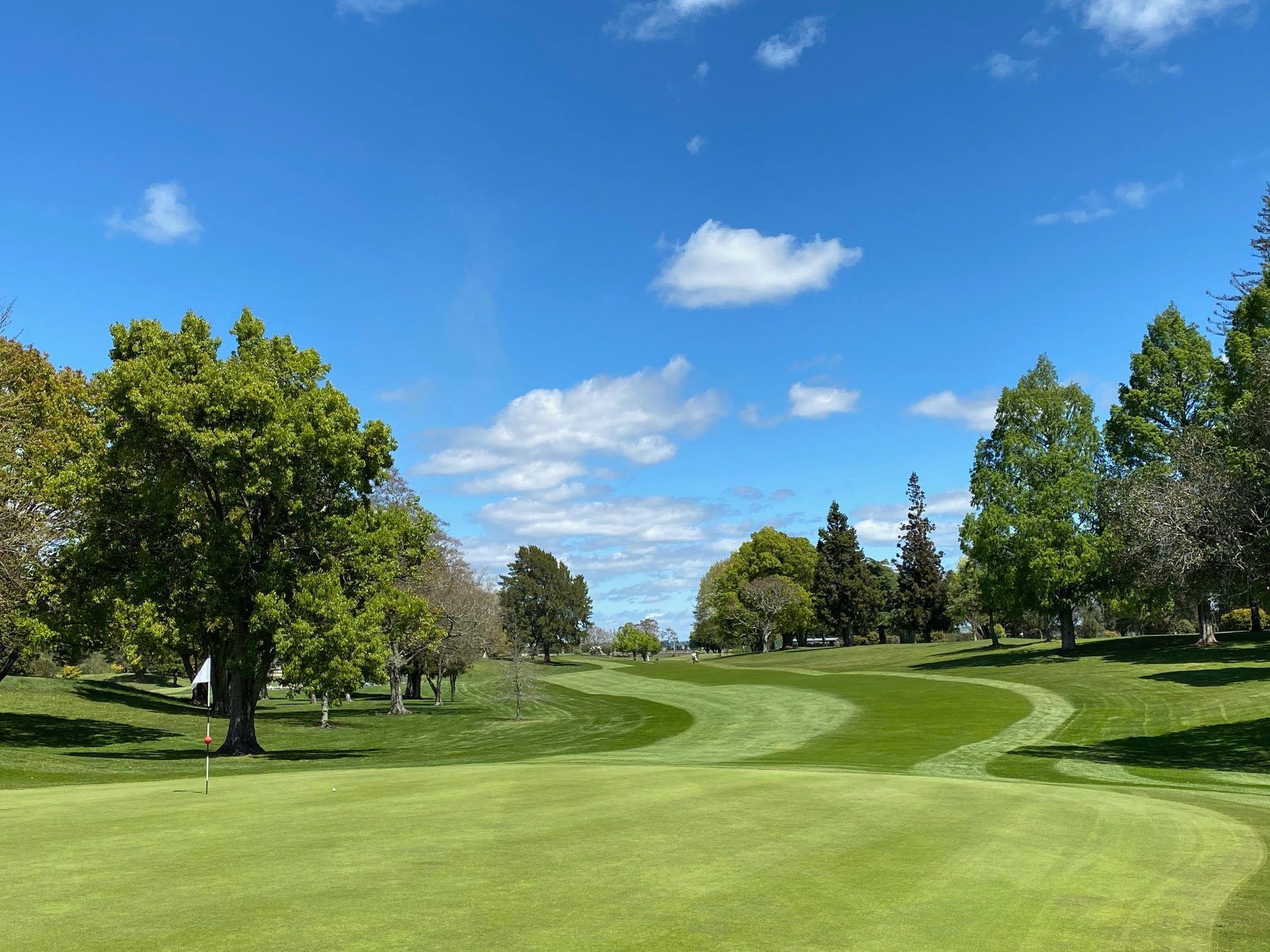 Te Puke Review by Andrew David | Top 100 Golf Courses