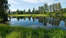 Northern Pines Golf Club Review by Brad Olsen | Top 100 Golf Courses