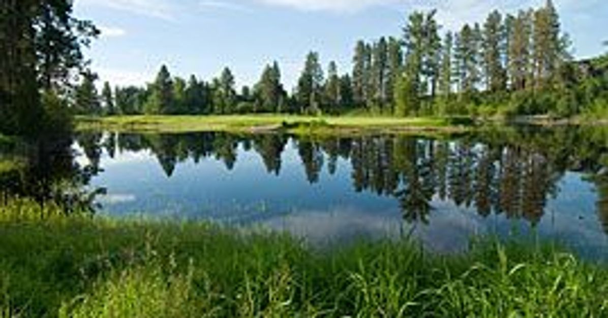 Northern Pines | United States | Top 100 Golf Courses
