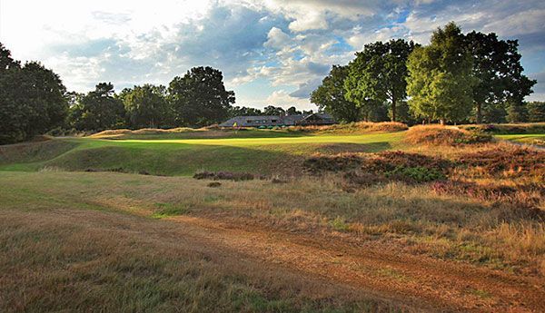 Hankley Common Golf Club Review by max king | Top 100 Golf Courses