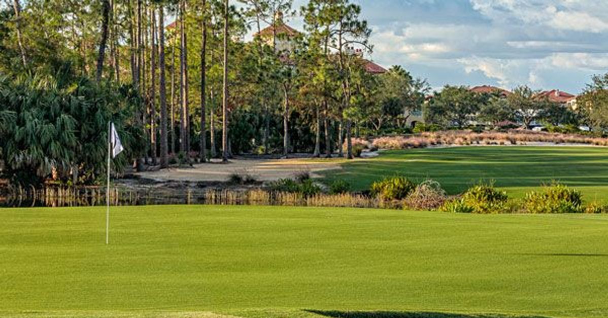 Tiburón Golf Club (Black) | United States | Top 100 Golf Courses
