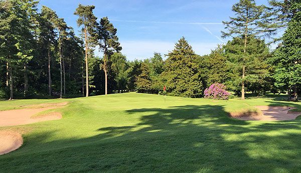Forest Pines Golf Club (Forest & Pines) Review by Greg Watson | Top 100 ...