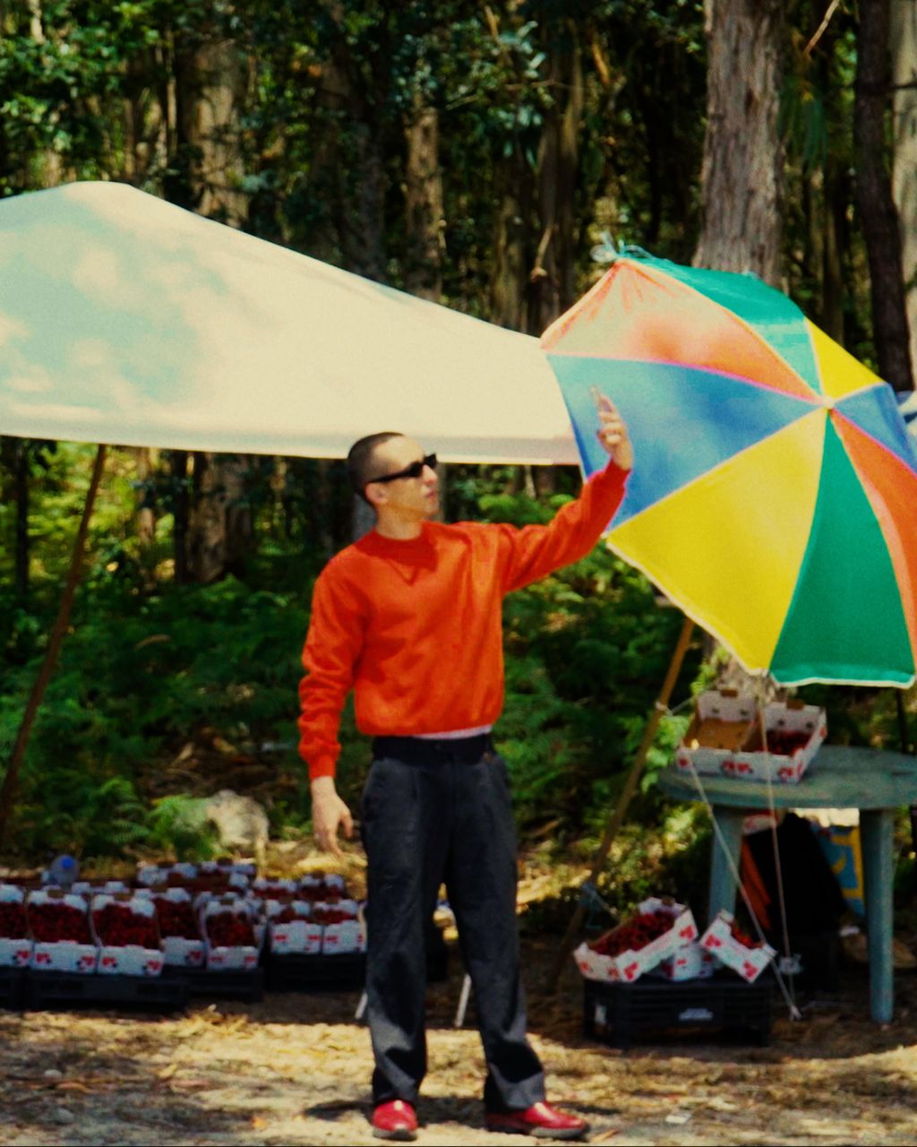 home [www.index.shop]