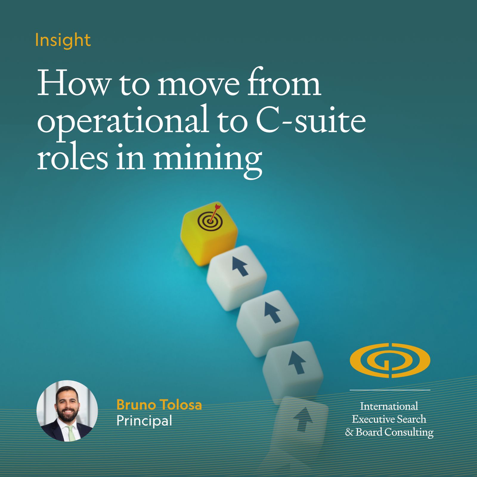 How to move from operational to C-suite roles in mining | Gerard Daniels