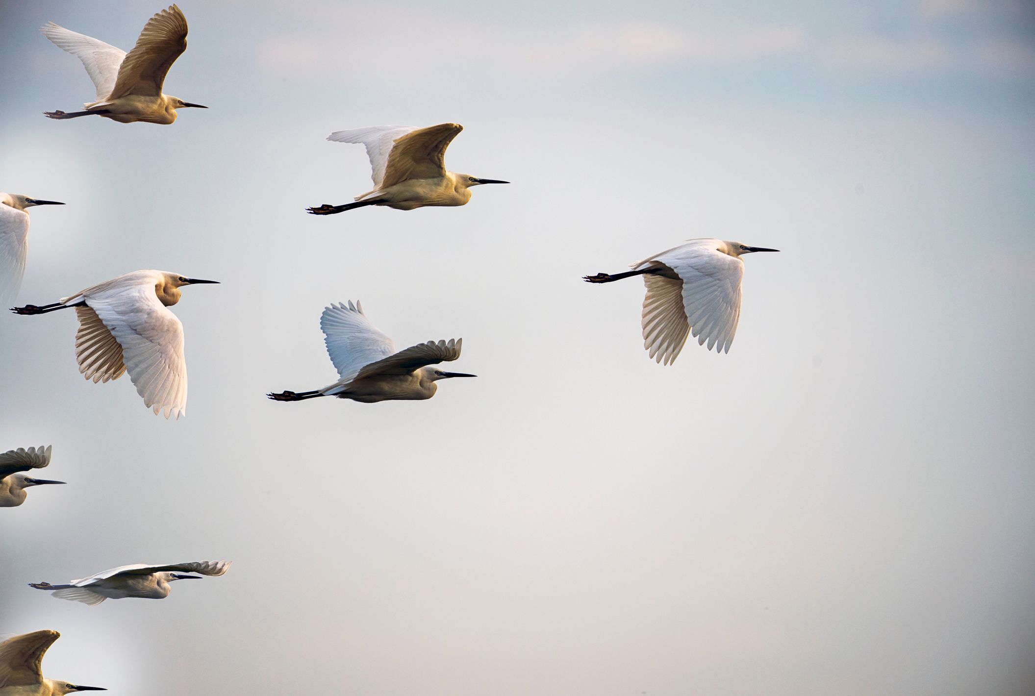 How to attract and lead a future values-driven workforce | Gerard Daniels