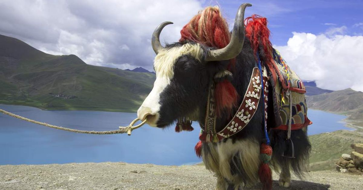 Bhutan: Why It’s Worth It | BootsnAll