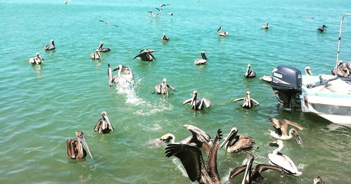 Road Tripping Mexico’s Yucatan: 7 Must See Stops | BootsnAll