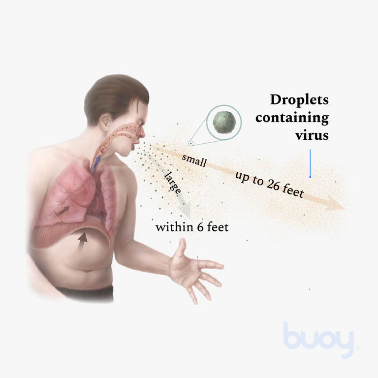 Upper Respiratory Infection: Symptoms, Treatment, And, 47% OFF Upper Respiratory Infection: Symptoms, Treatment, And, 47% OFF