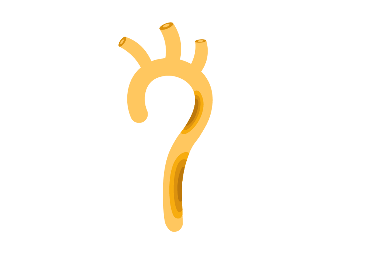 Aortic Dissection: Key Symptoms & Urgent Treatment | Buoy