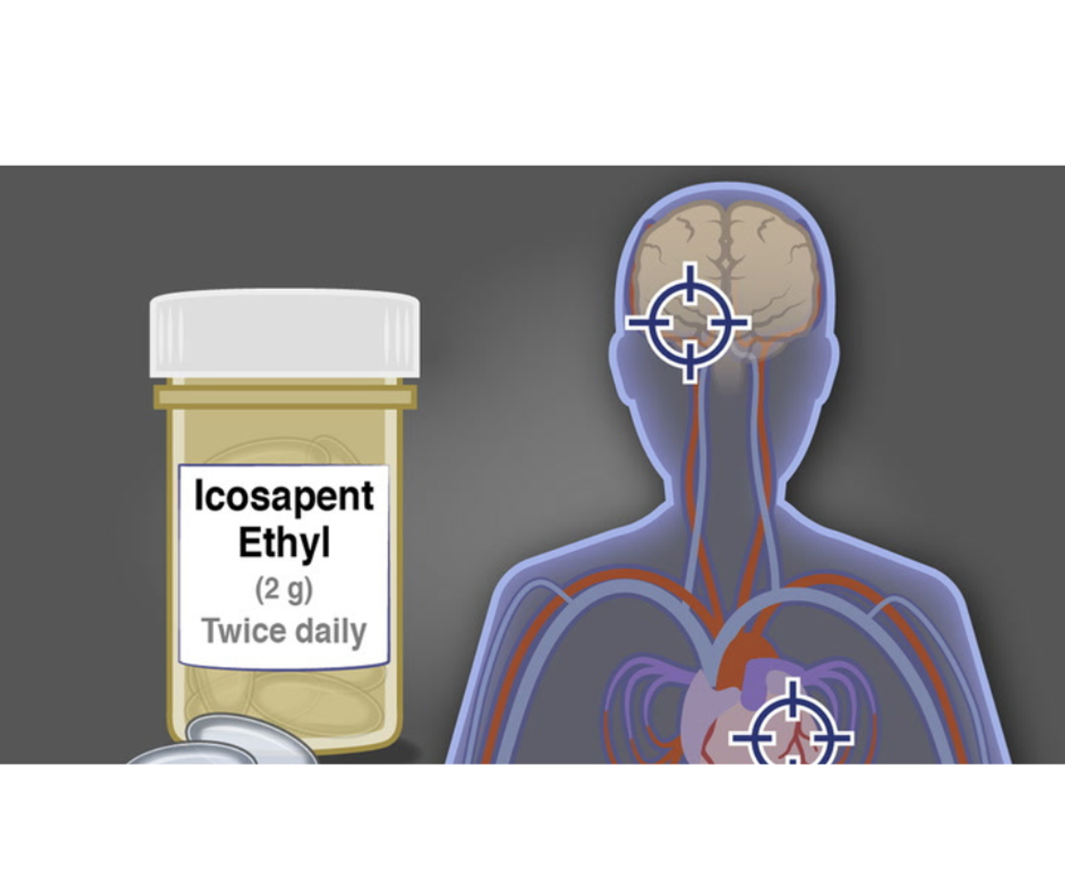 Breakthrough Heart Drug Icosapent Ethyl Defies Odds, Slashes Risk in ...