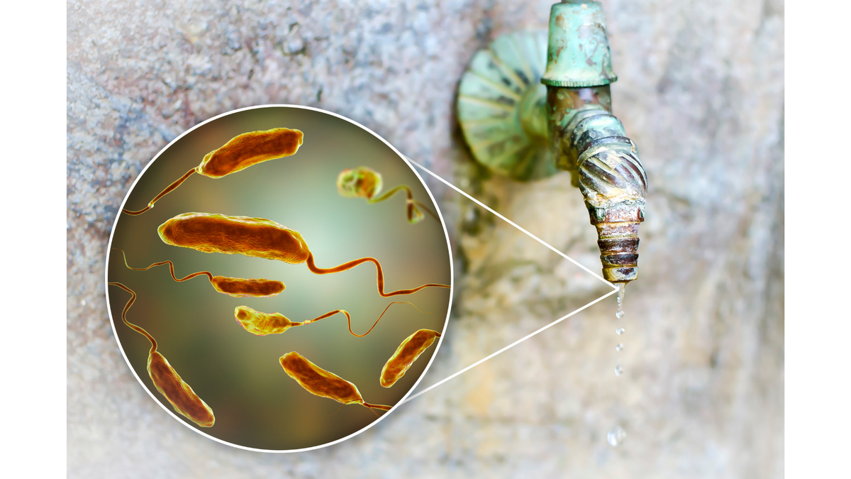 Sinus Rinse Warning: Tap Water Linked to Deadly Brain-Eating Amoeba ...