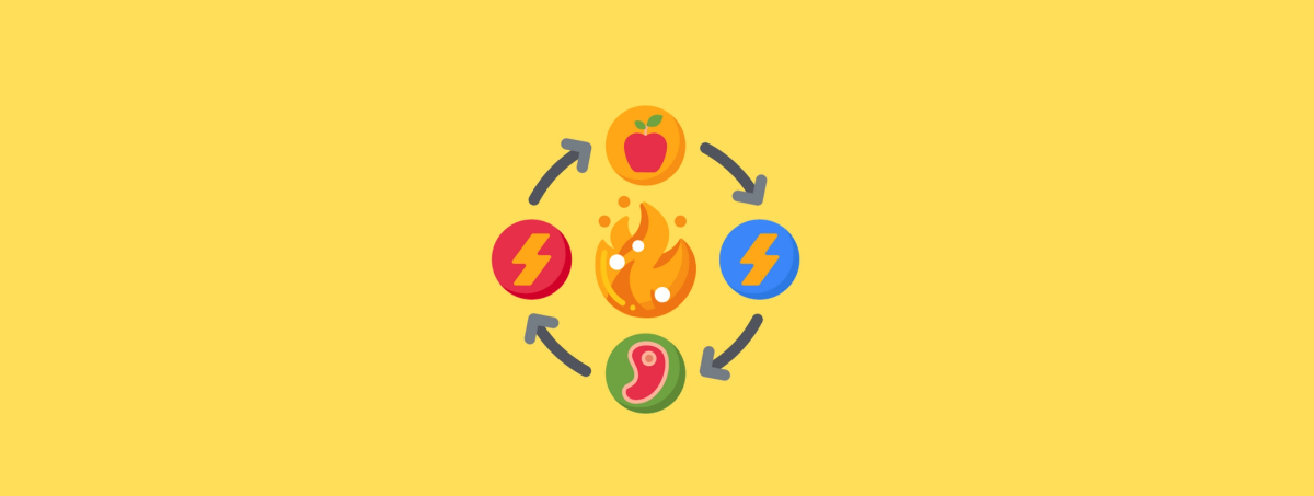 What is Fast and Slow Metabolism? Everything You Need To Know | Buoy