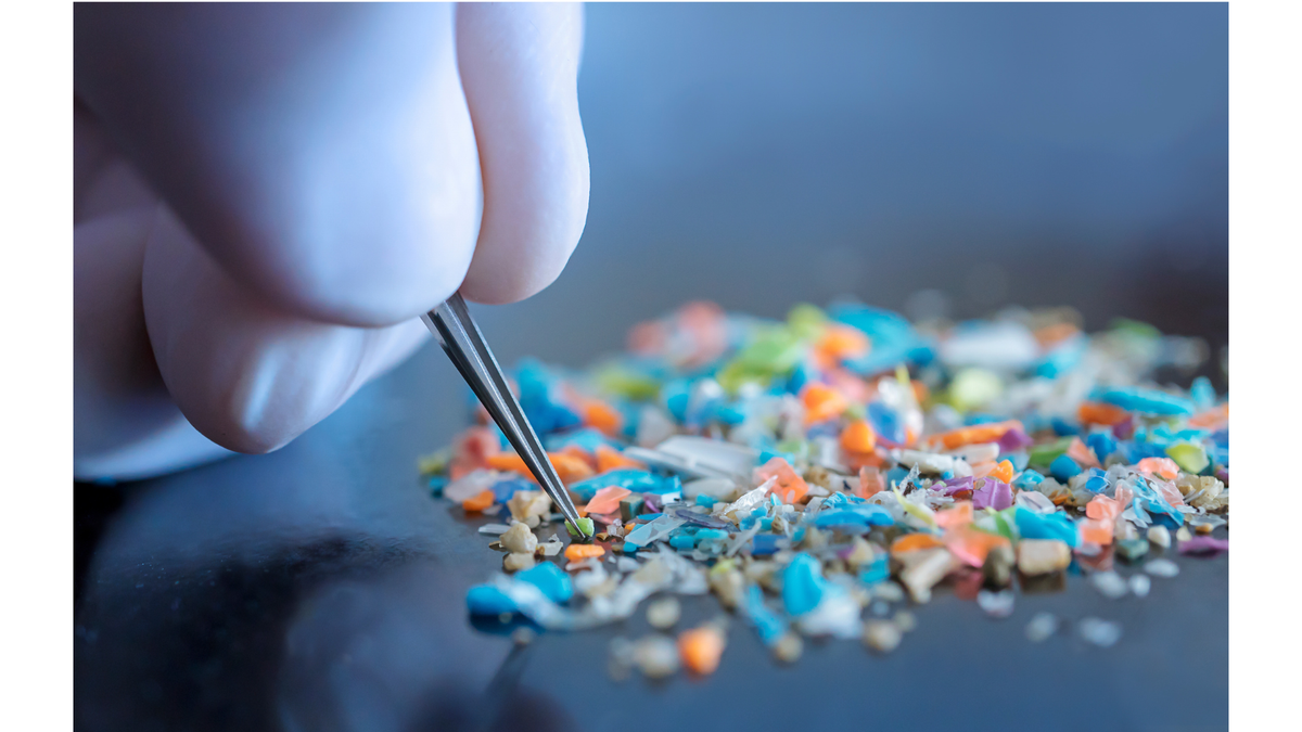 Microplastics in Tissues: A Study Explores the Health Impacts of ...