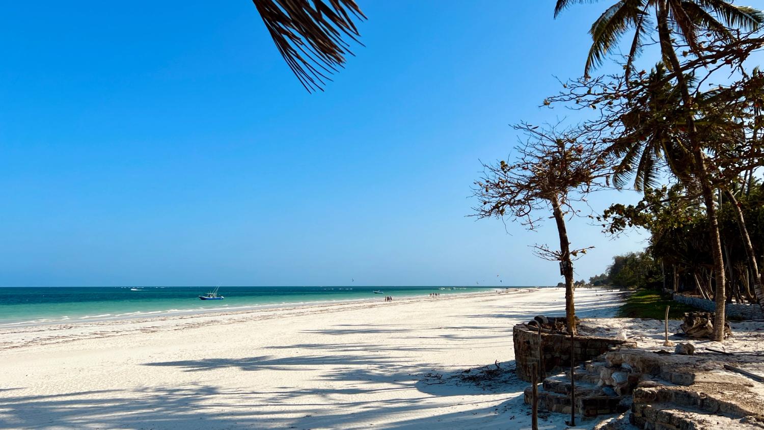 Kenya Travel Guide: Everything You Need To Know