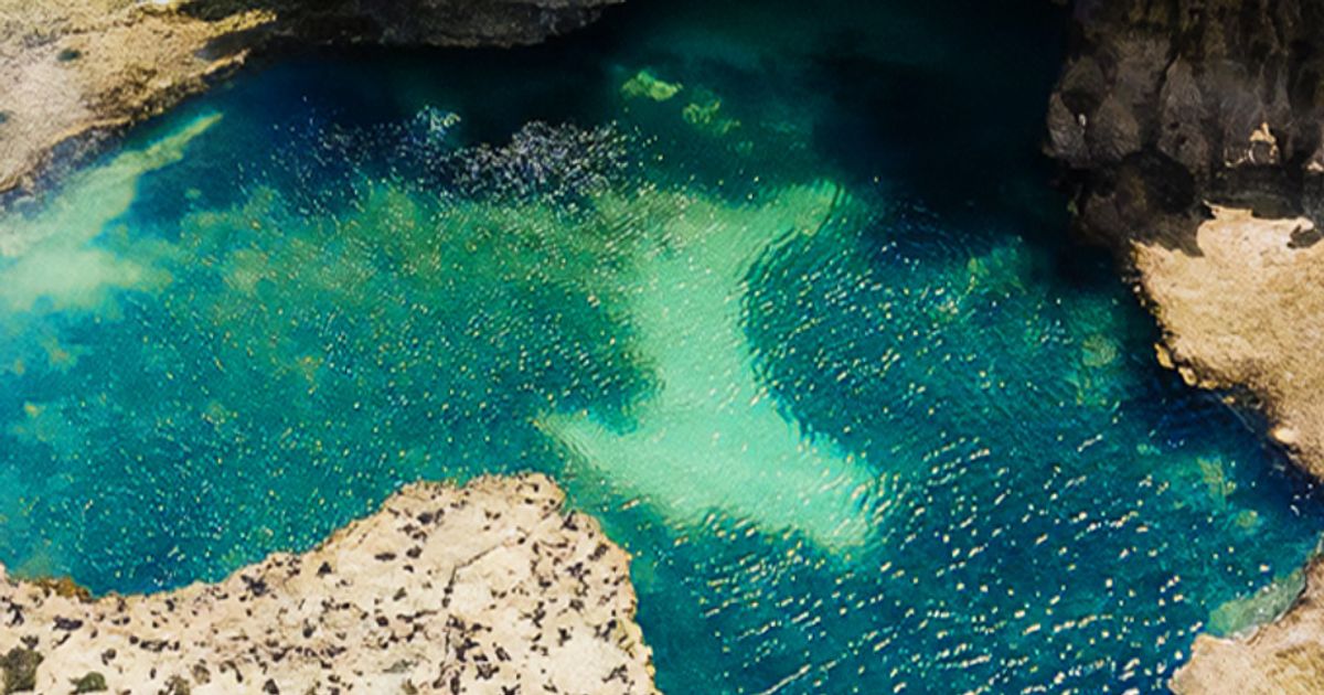 Discover the Africa Pool at Tiwi Beach Near Diani Beach in Kenya