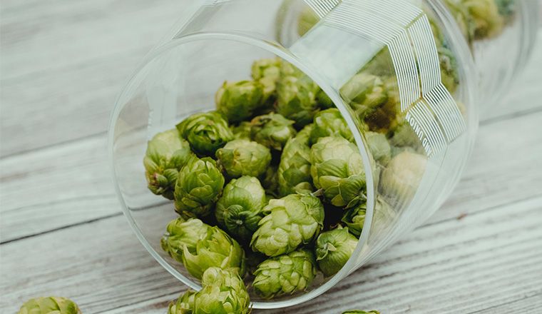 Hop Water: The Sober, Health-Conscious Alternative | Flavorman