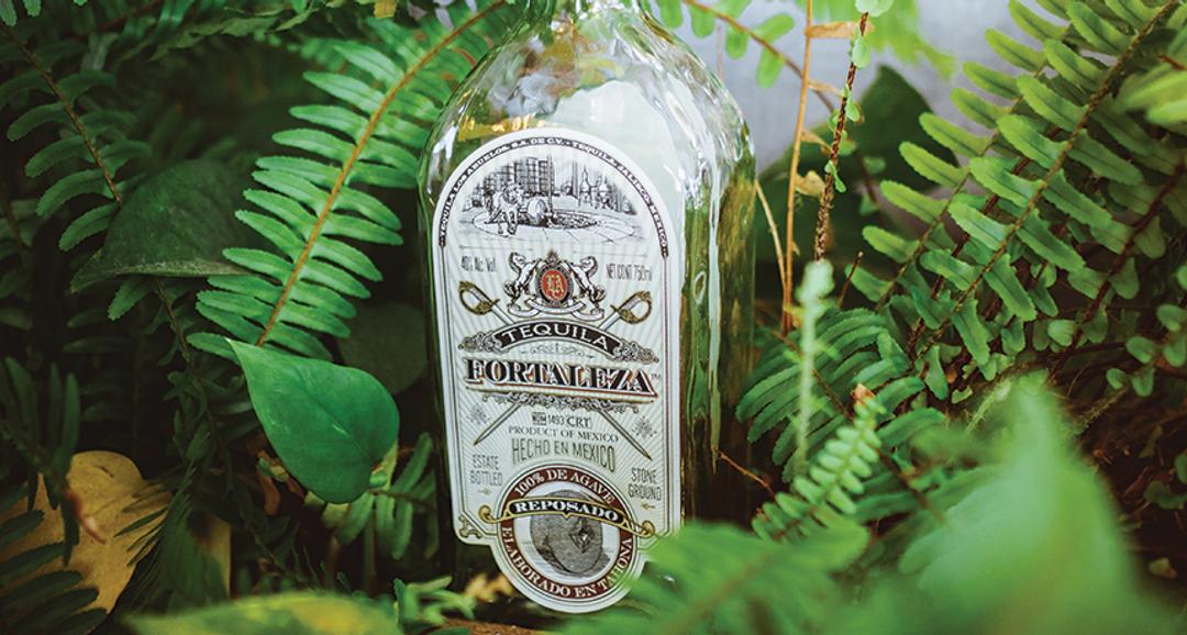 A Quick Guide to Agave Spirits | Moonshine U