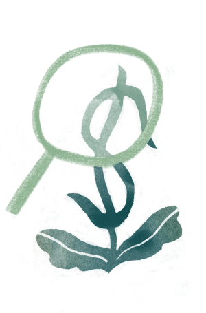 Paying with your insurance?