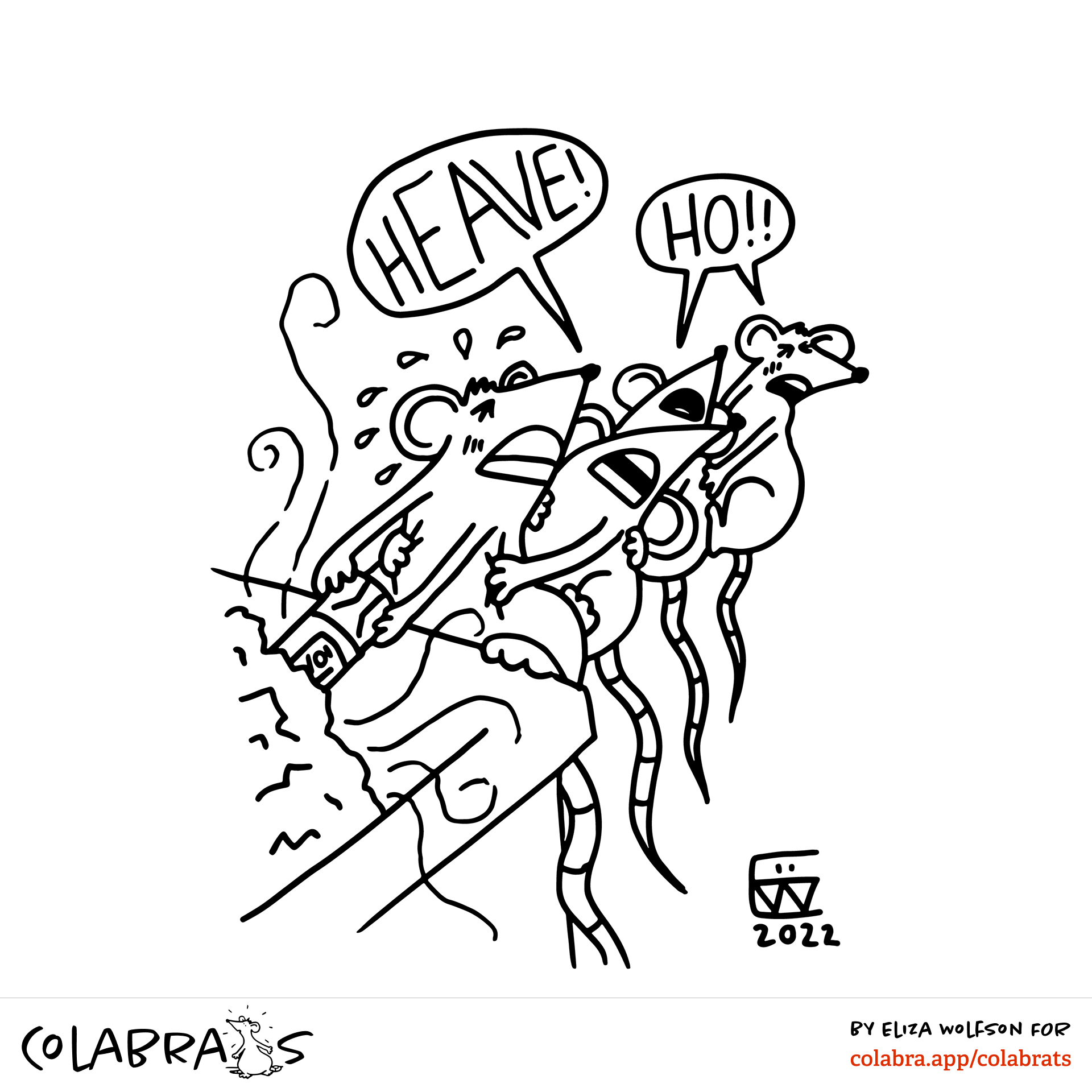 17 Jaws Of 80 Colabra 17-jaws-of-80-colabra