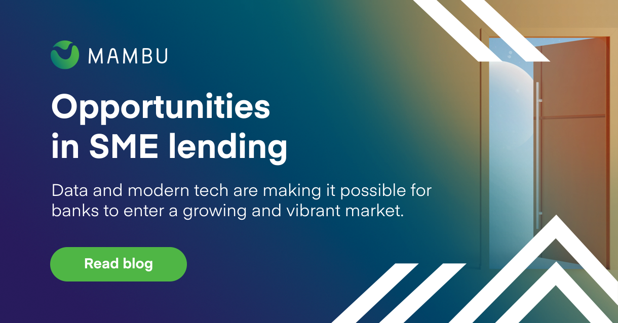 Financial institutions must pave the way toward opportunities in SME ...