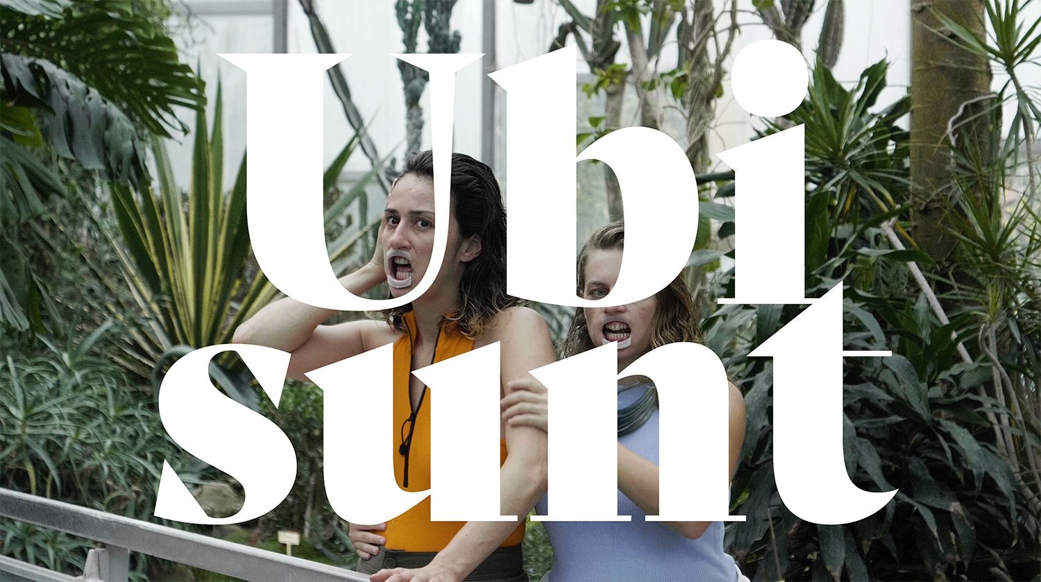 Ubi Sunt - Video installation — Garush Melkonyan