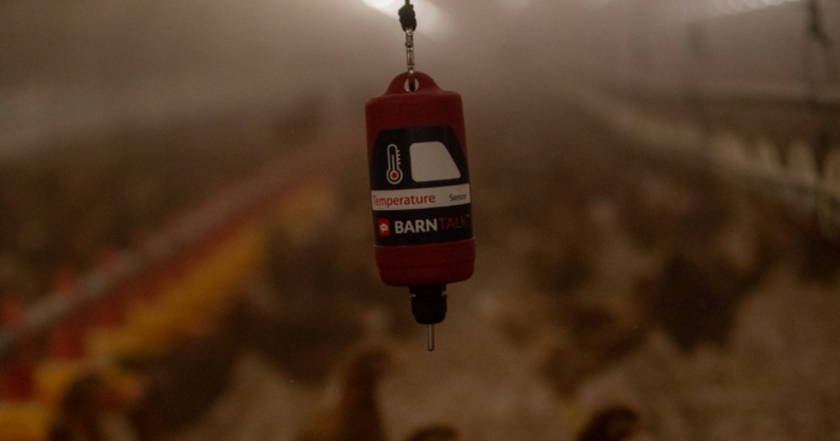 Ditching the Dialer for a Self-Connecting Barn Alarm | BarnTools