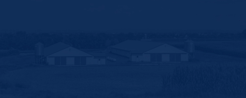 Discover A More Reliable Barn Alarm | BarnTools