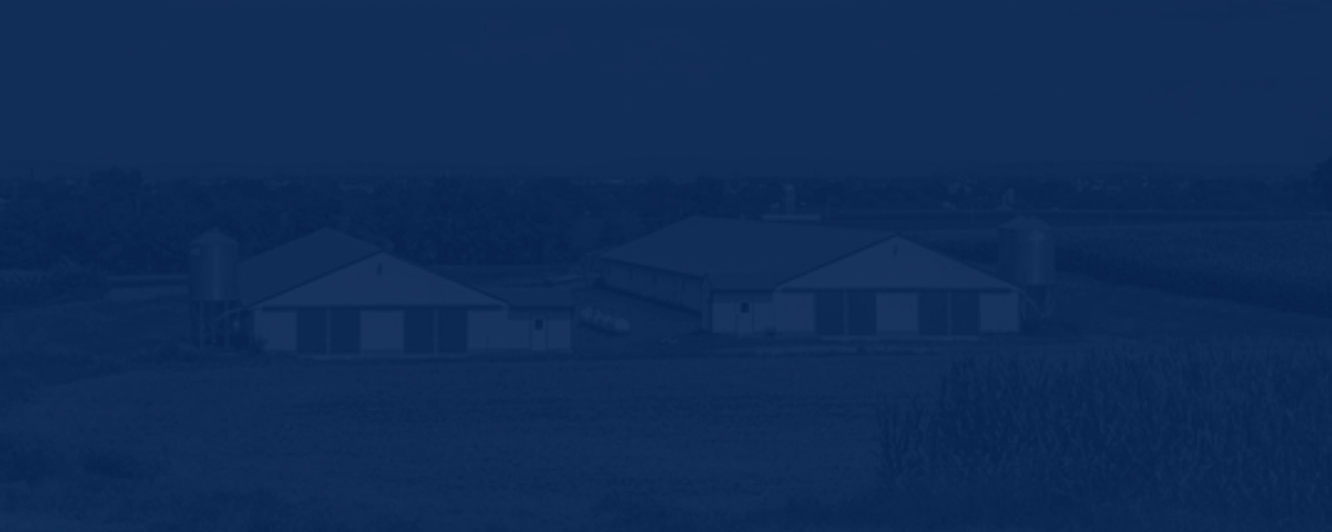 Discover A More Reliable Barn Alarm | BarnTools