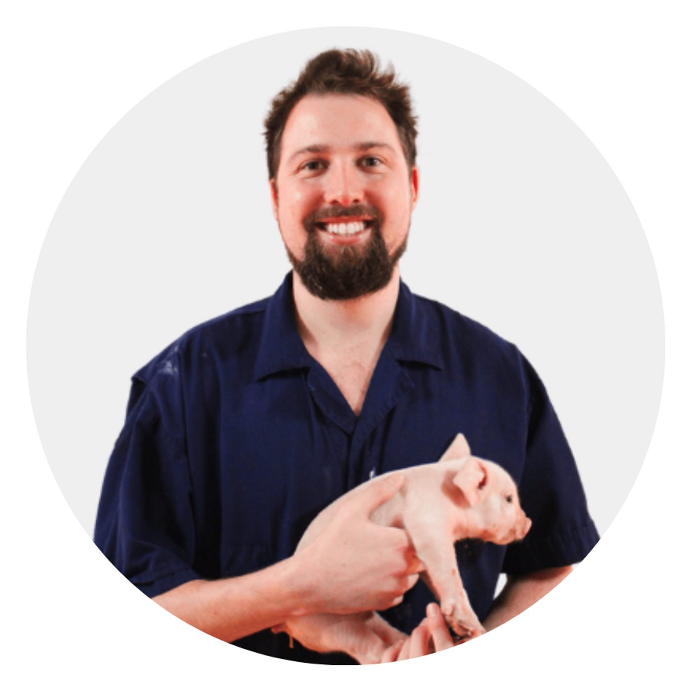 Real-World Use Cases for Wireless Feed Sensors | BarnTools Real-World Use Cases for Wireless Feed Sensors | BarnTools