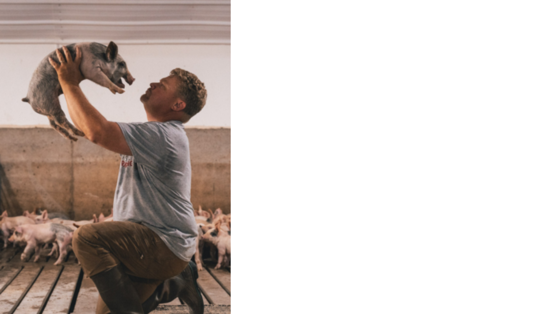 Father/Son Duo Makes Realities of Hog Farming Mainstream | BarnTools