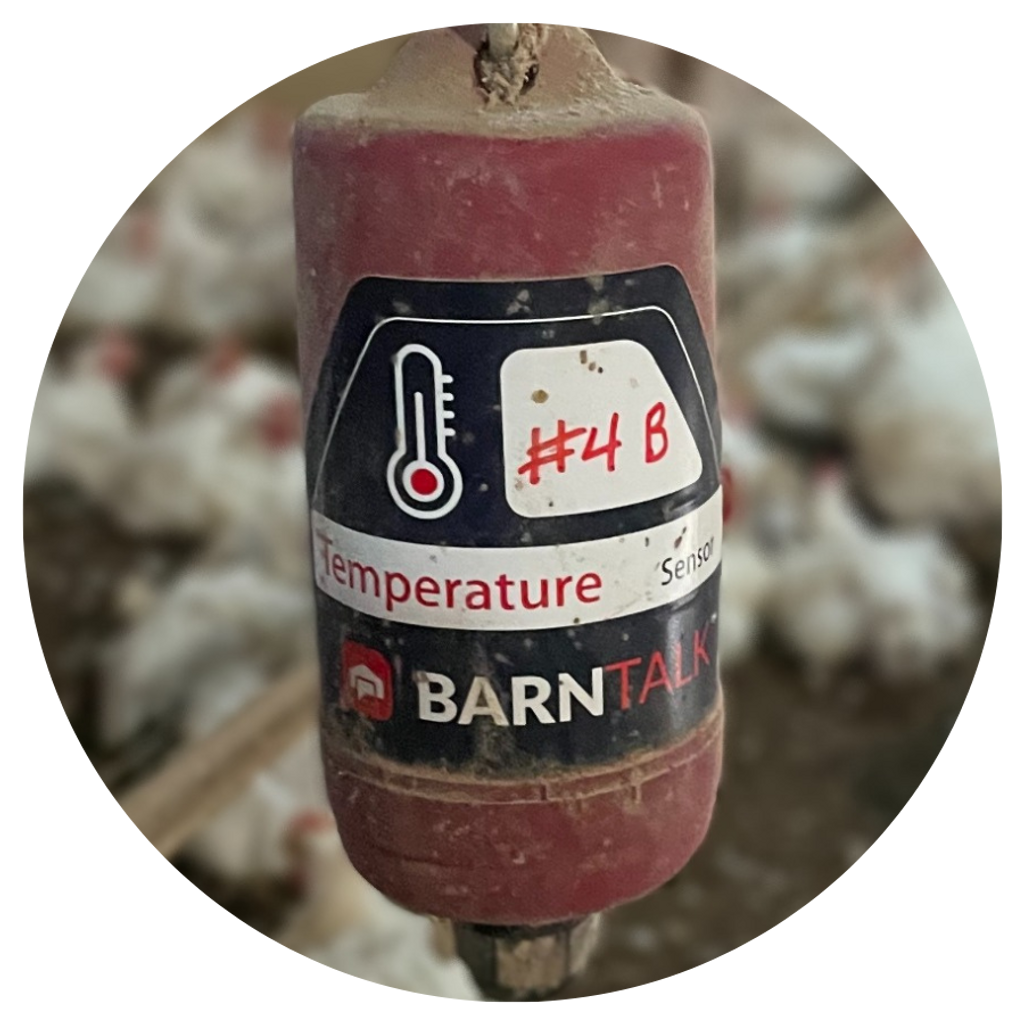 Switch to A More Reliable Barn Alarm | BarnTools