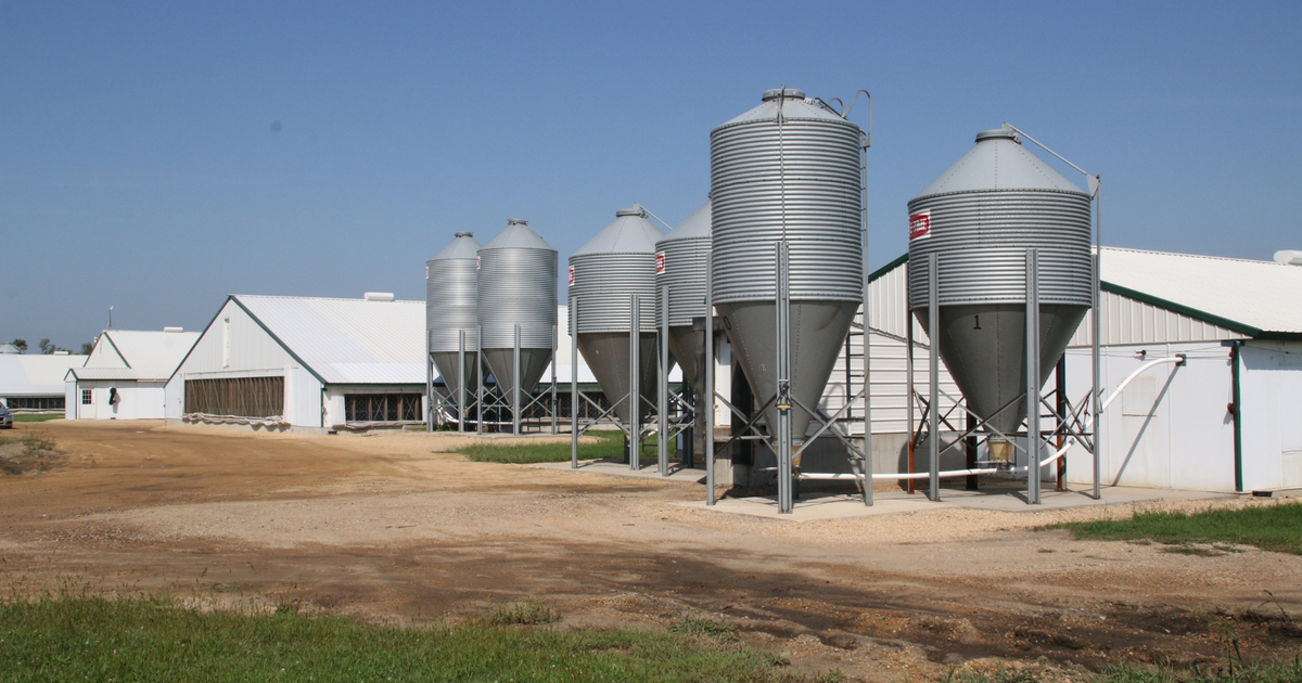 Wireless Feed Bin Sensors for Swine and Poultry | BarnTools