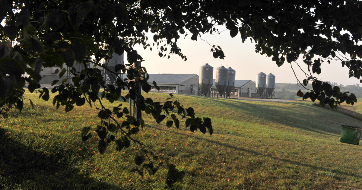 Real World Use Cases For Wireless Feed Sensors Barntools