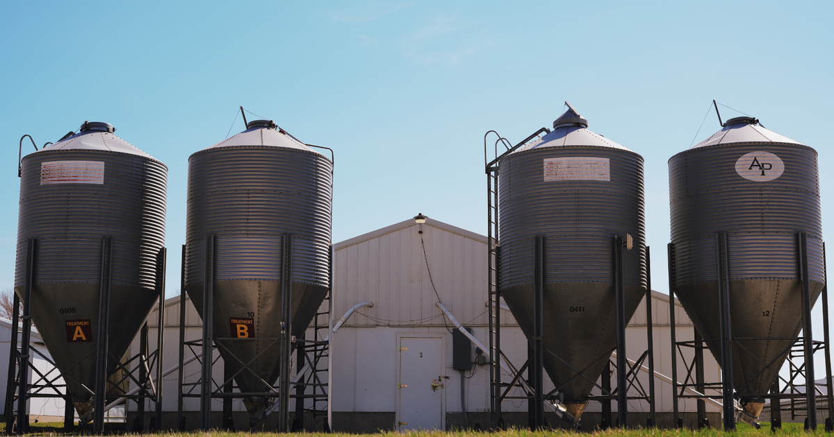 Digital Bin Locator for Feed Management | BarnTalk | BarnTools