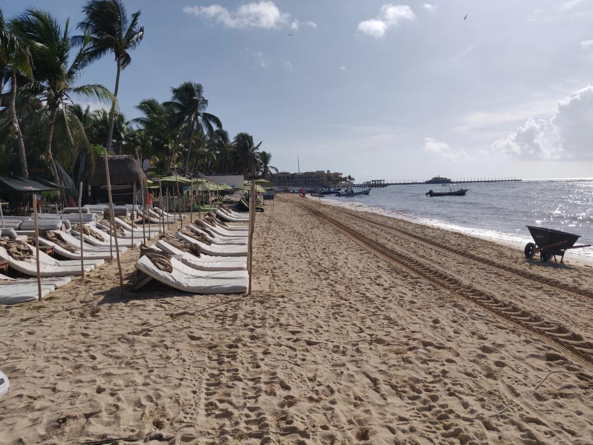 Zenzi Beach Club | Sargasso Tracker