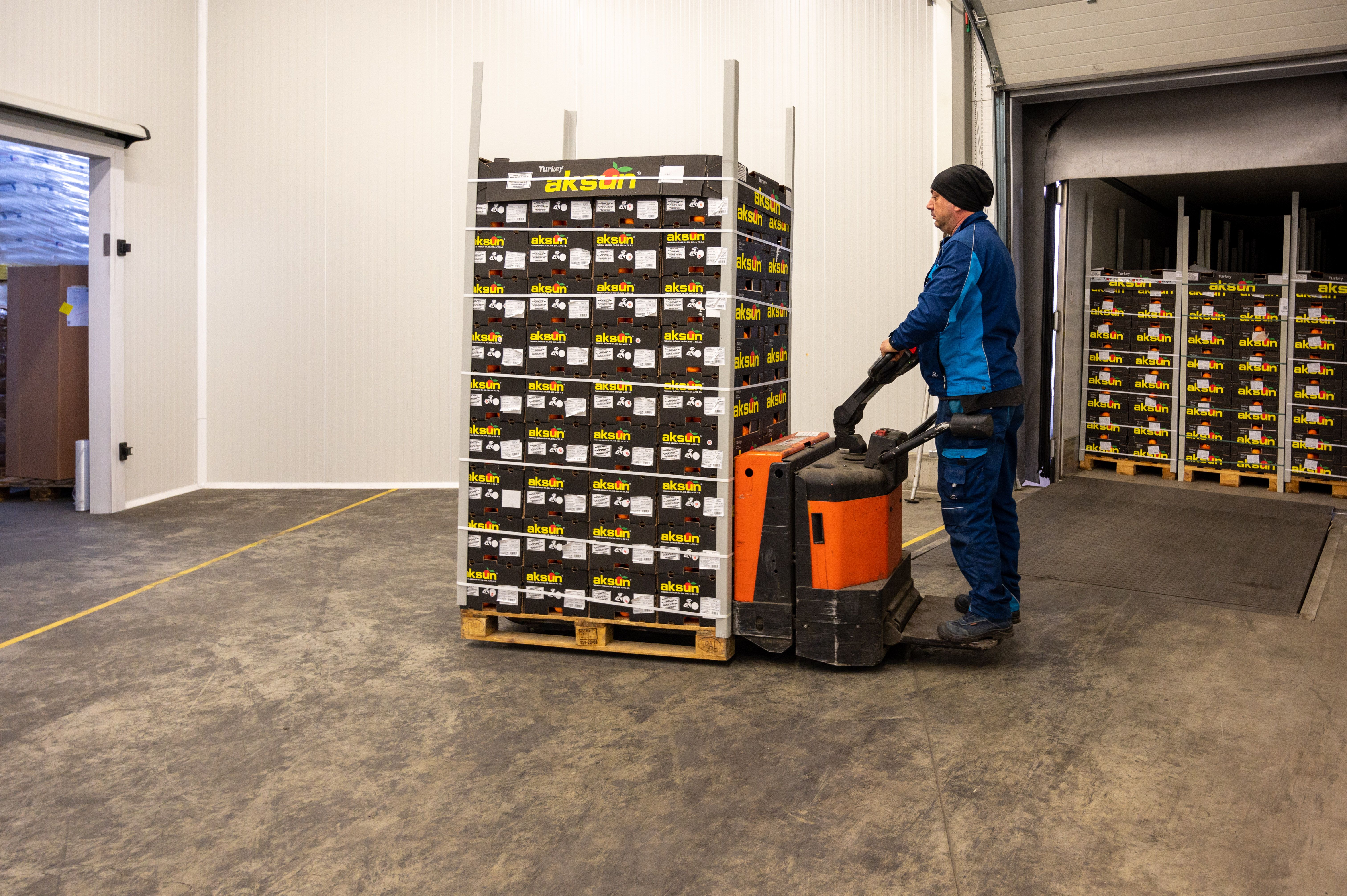 Dimex Logistics