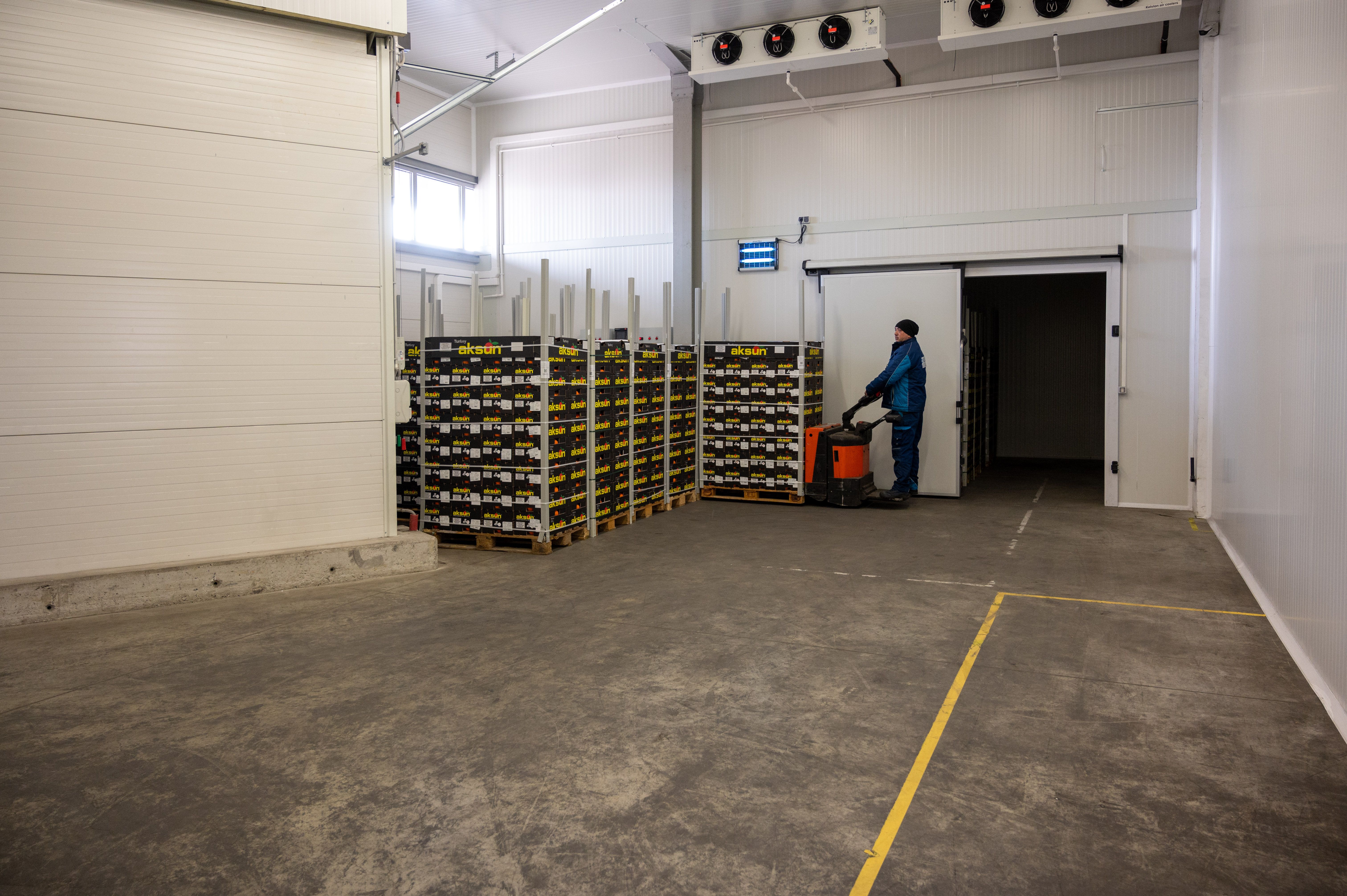 Dimex Logistics