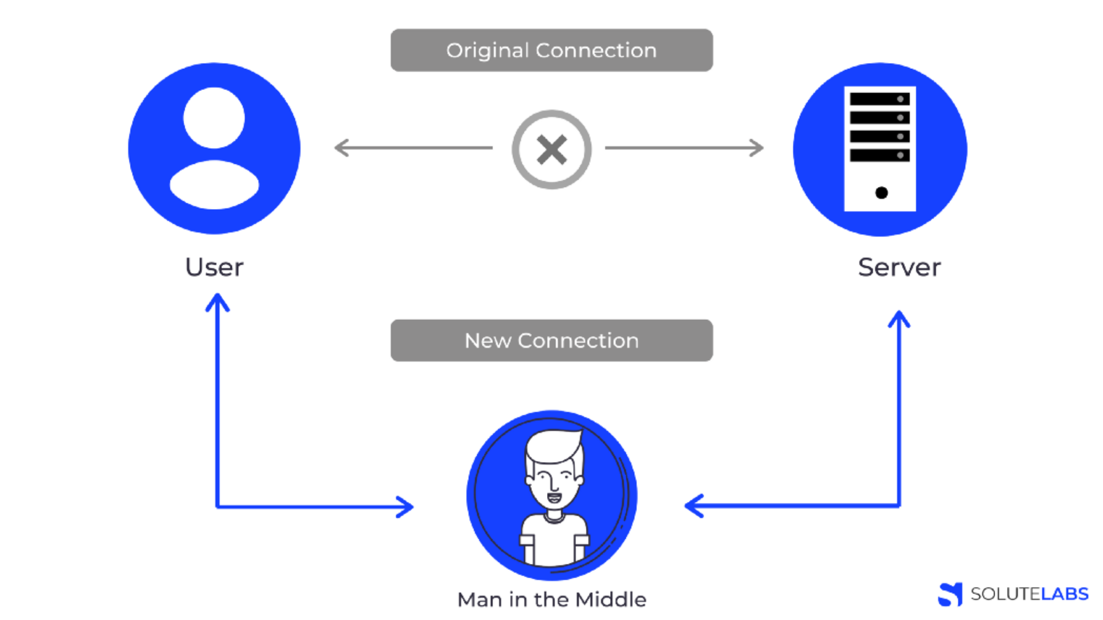Shield Your App: NPM Security Must-Knows | SoluteLabs Blog